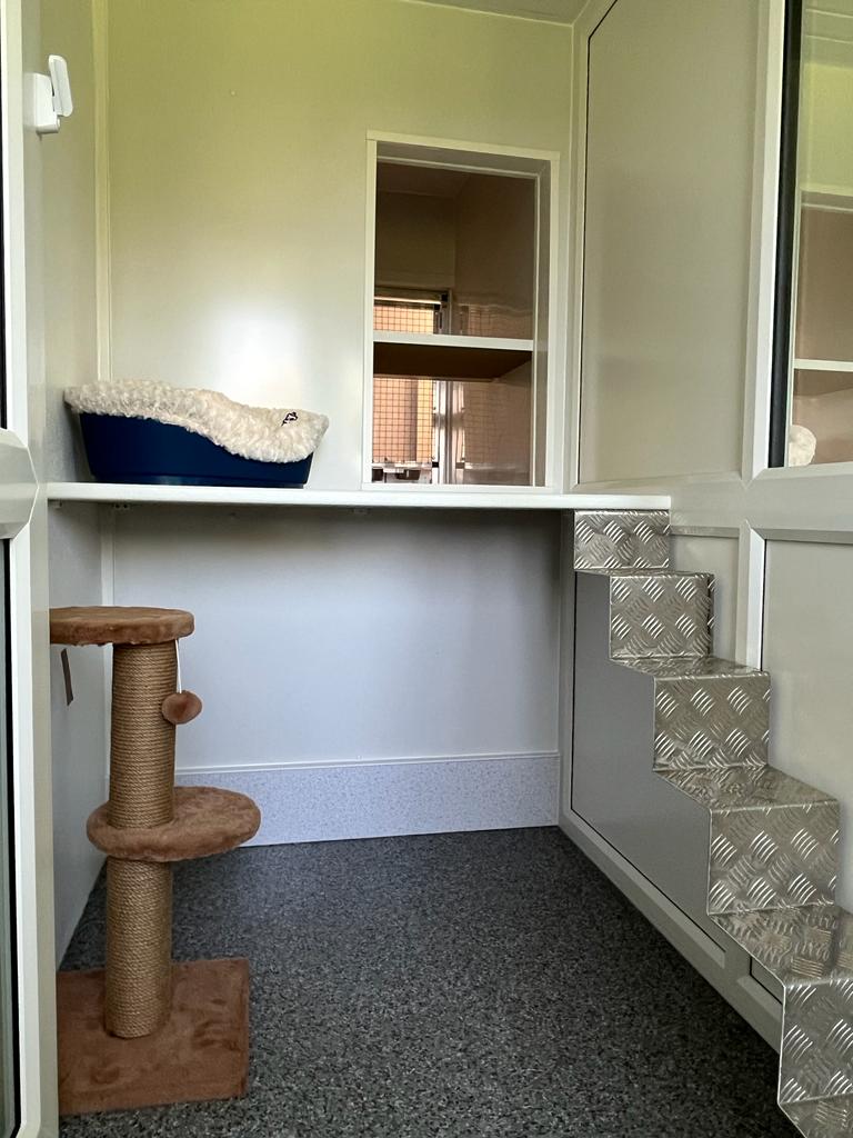 Gallery – Cuerden Cattery